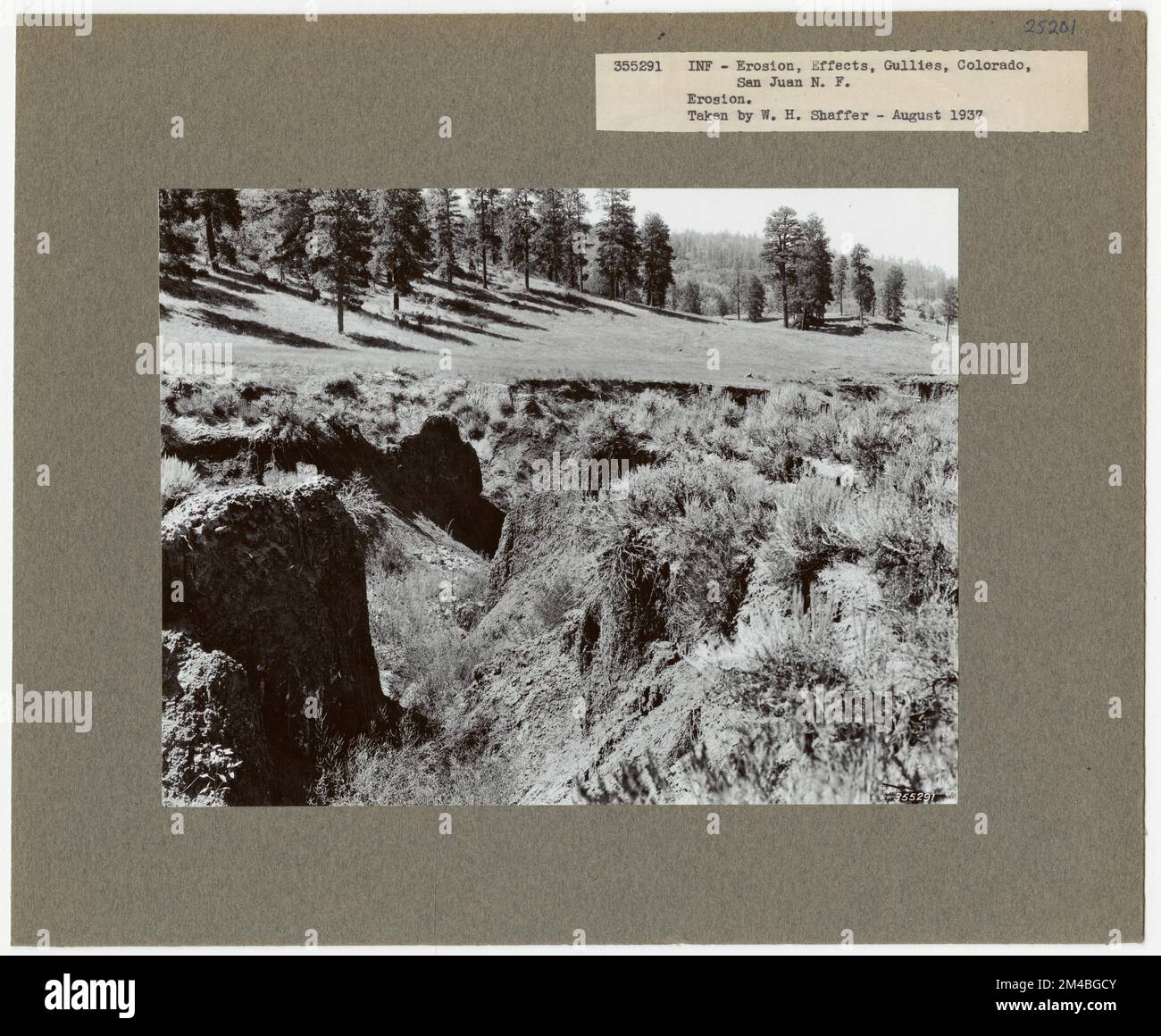 Erosion Effects - Colorado. Photographs Relating to National Forests ...