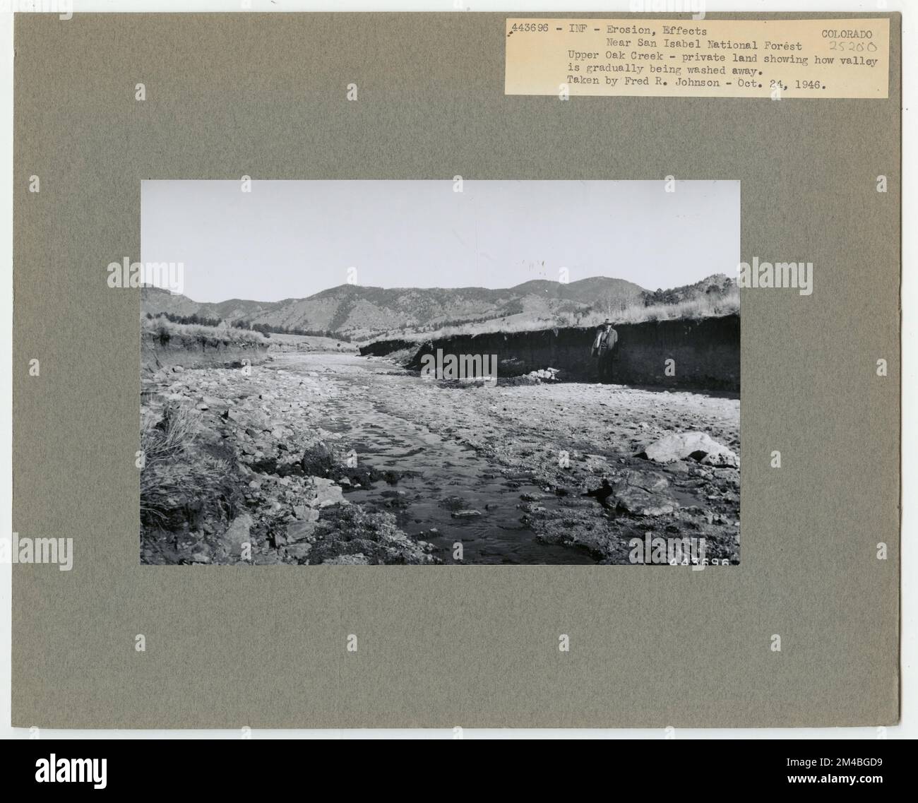 Erosion Effects - Colorado. Photographs Relating to National Forests ...