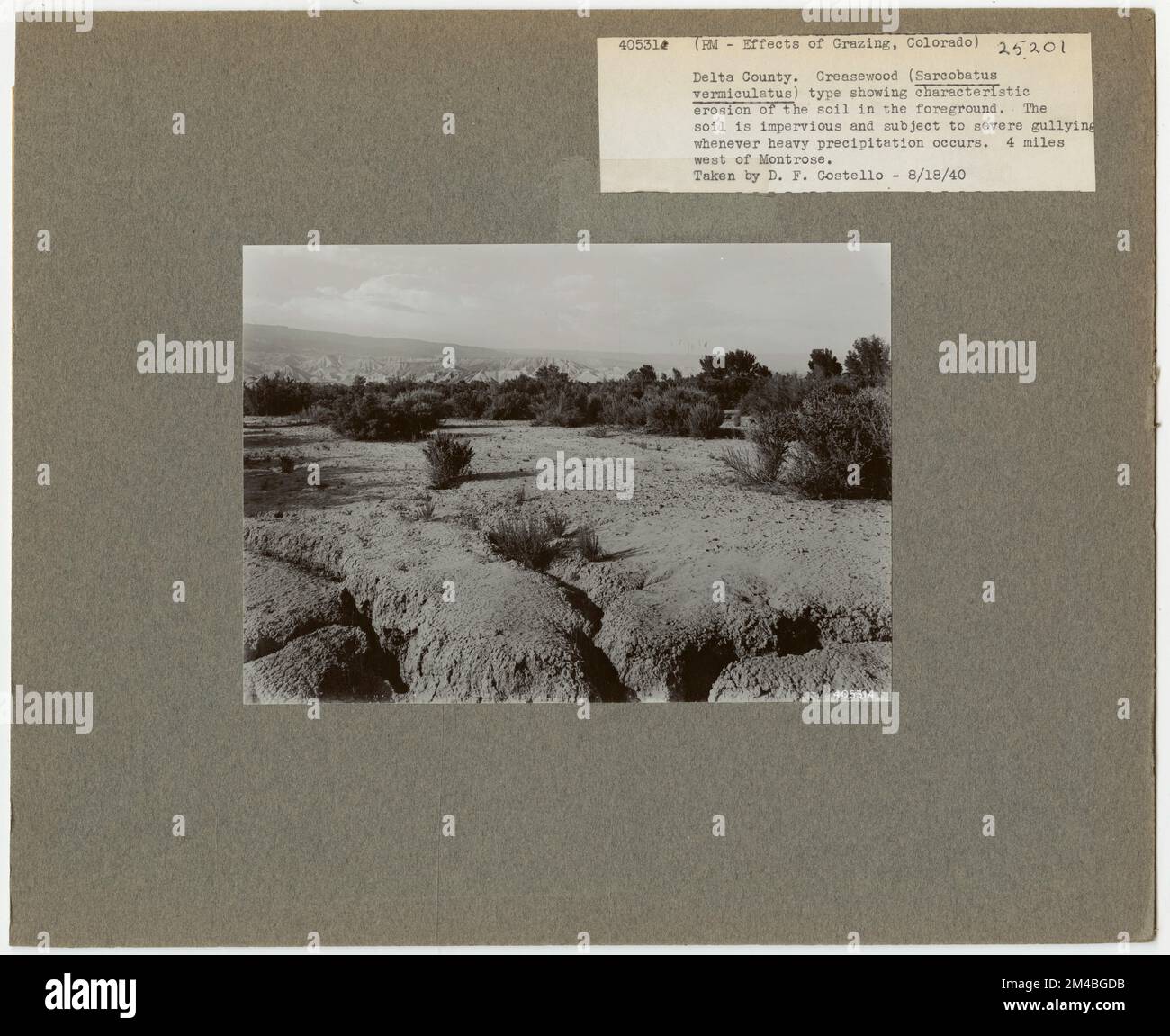 Erosion Effects - Colorado. Photographs Relating to National Forests ...