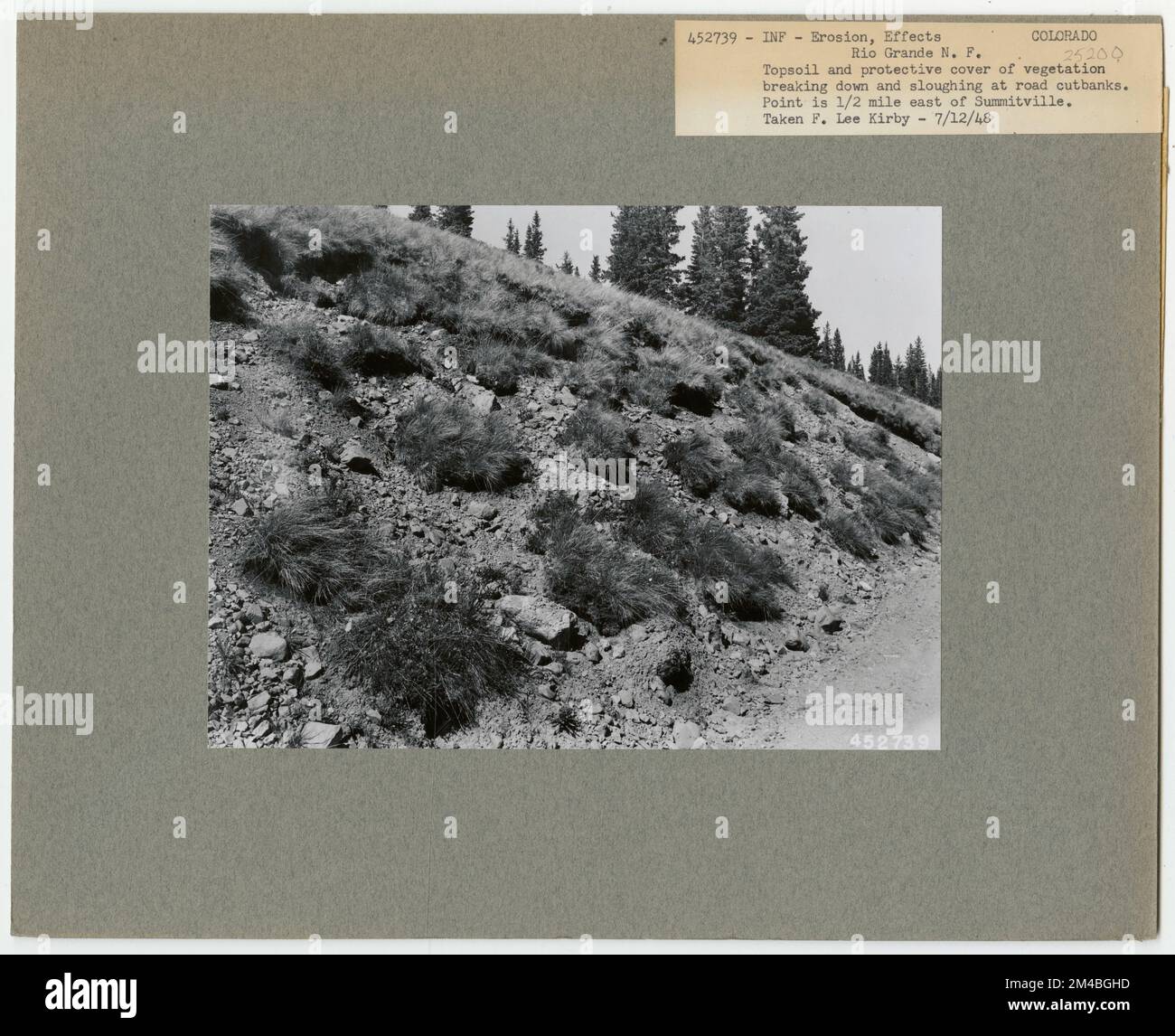 Erosion Effects - Colorado. Photographs Relating to National Forests ...