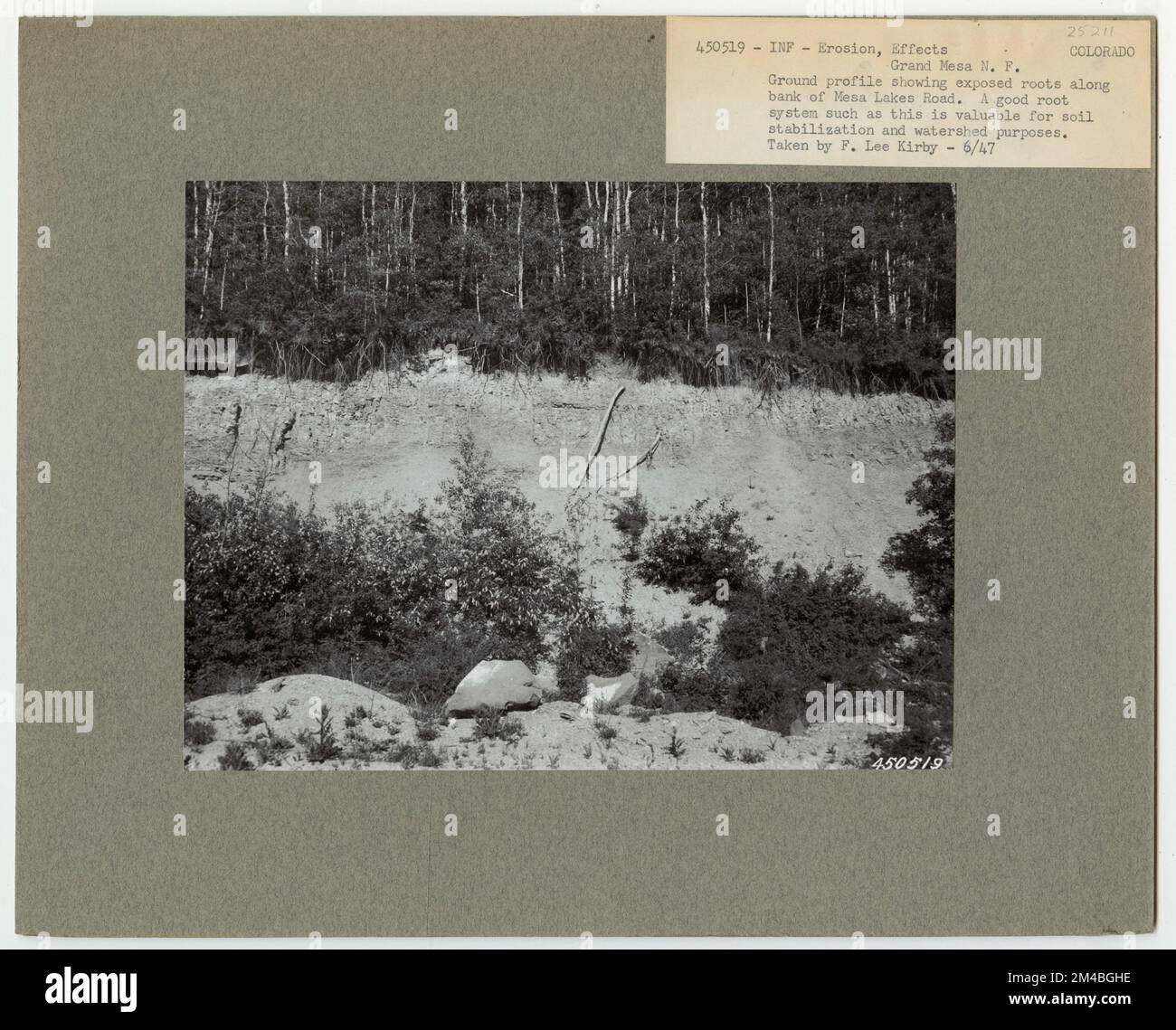 Erosion Effects - Colorado. Photographs Relating to National Forests ...