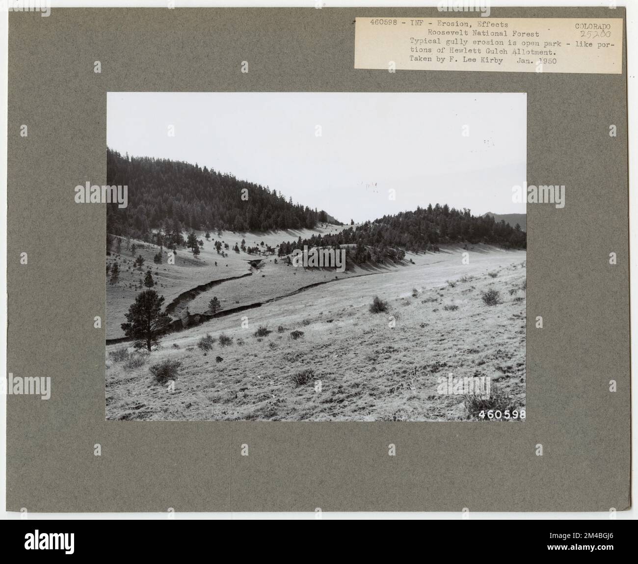 Erosion Effects - Colorado. Photographs Relating to National Forests ...