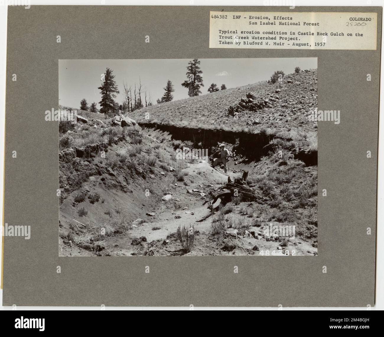 Erosion Effects - Colorado. Photographs Relating to National Forests ...