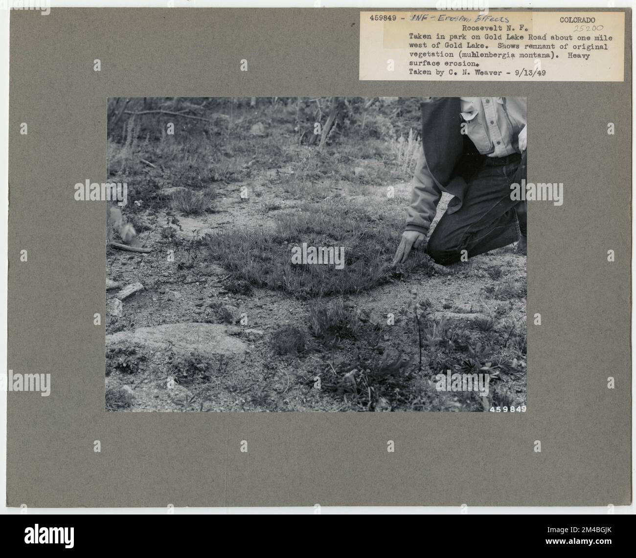 Erosion Effects - Colorado. Photographs Relating to National Forests ...