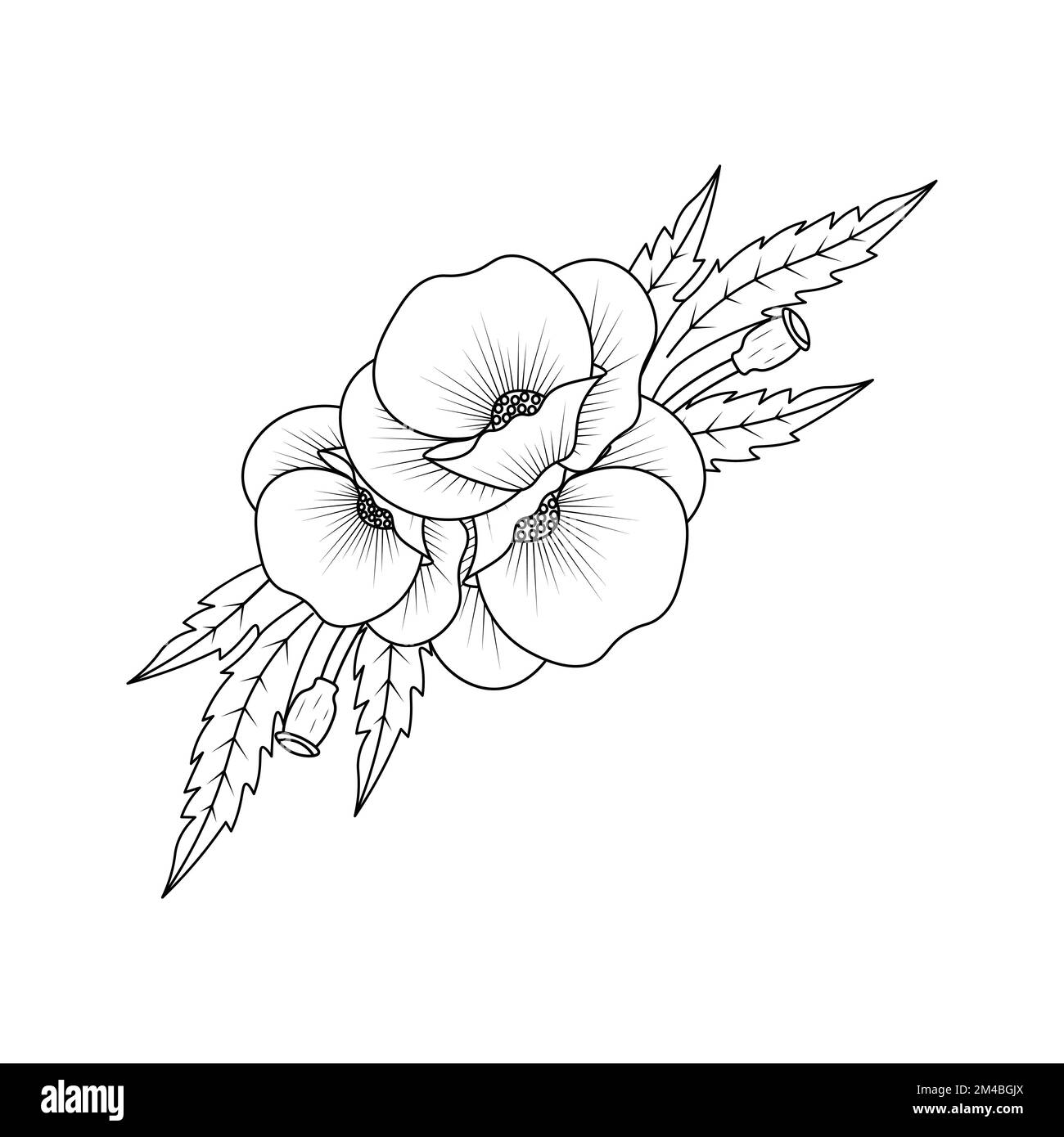 poppies flower line art design of coloring page flower with detailed ...