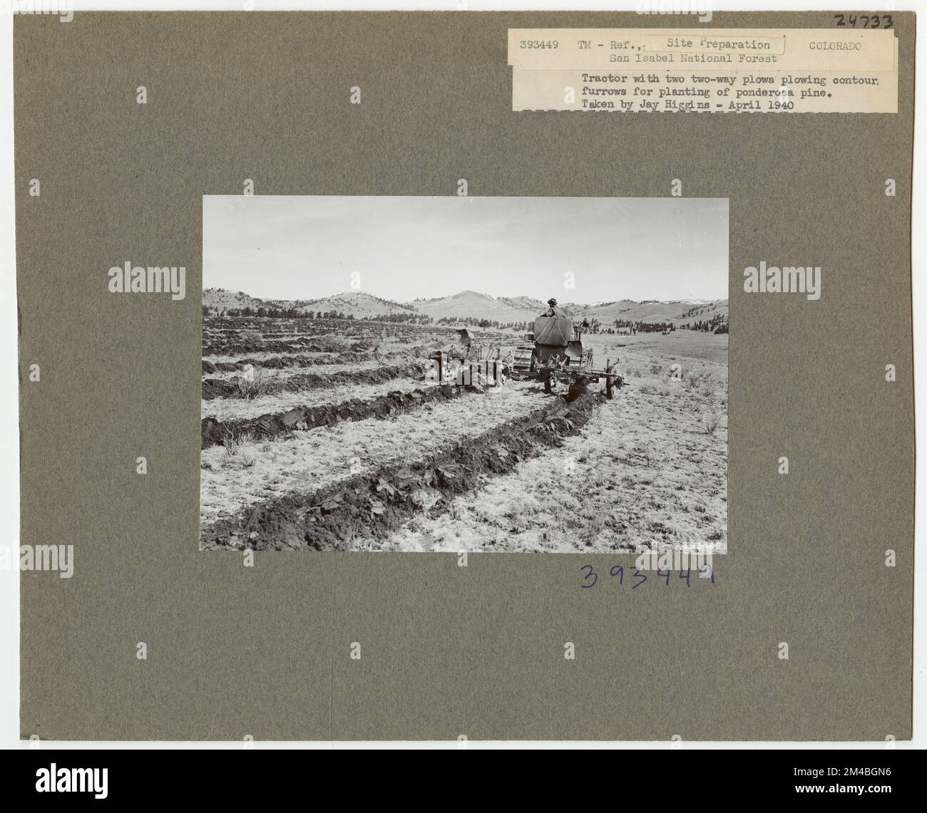 Reforestation: Planting - Colorado. Photographs Relating to National ...