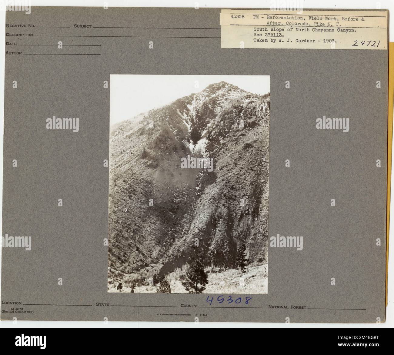 Reforestation: Camera Point - Colorado. Photographs Relating to ...