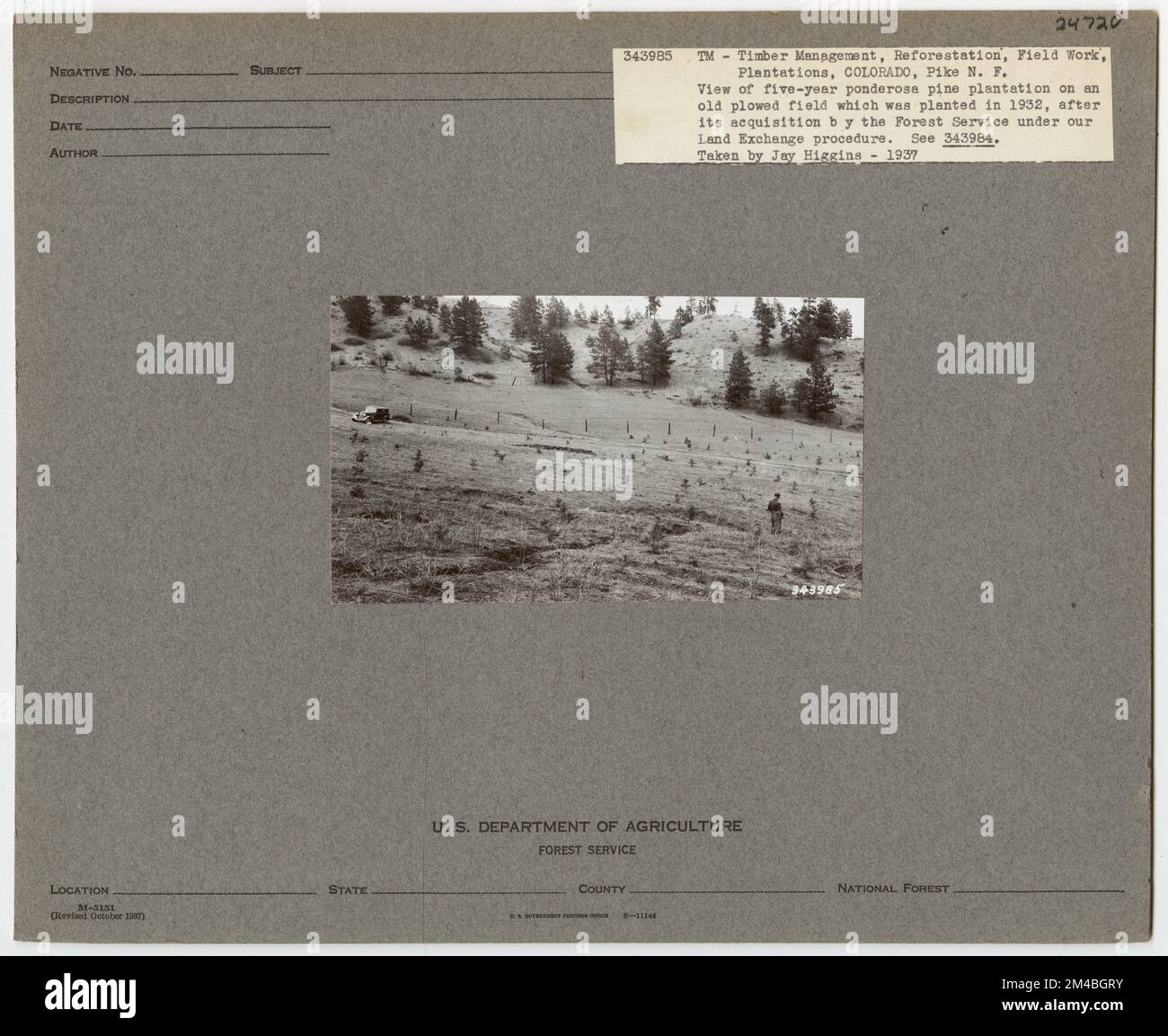 Reforestation: Camera Point - Colorado. Photographs Relating to ...