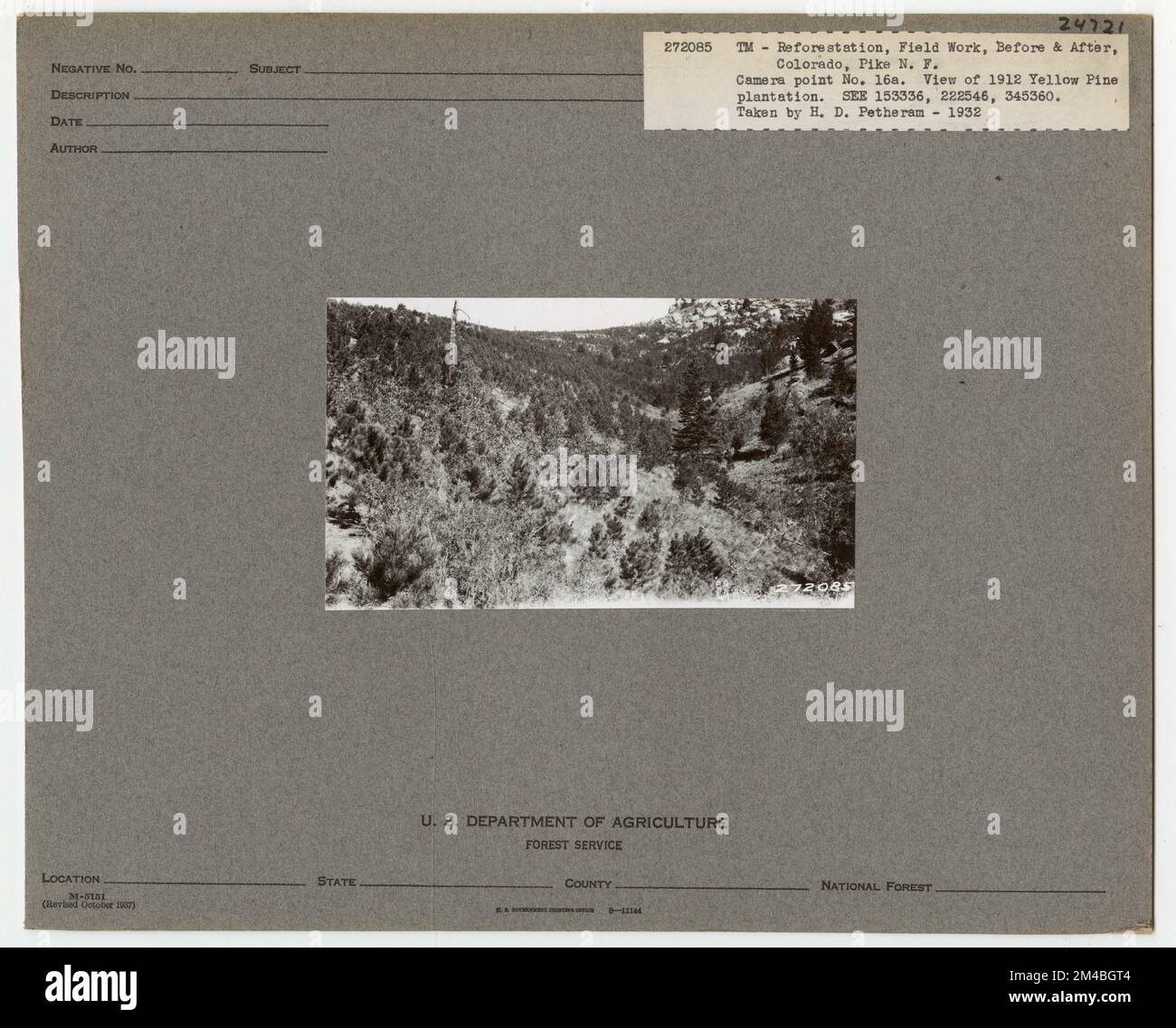 Reforestation: Camera Point - Colorado. Photographs Relating to ...