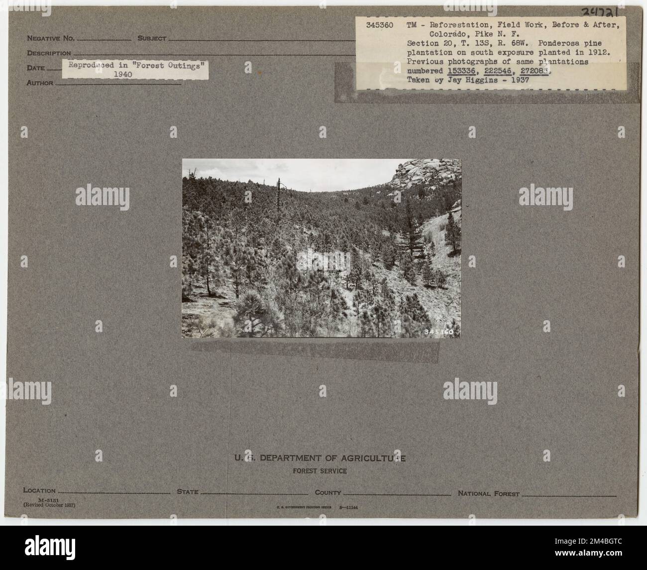 Reforestation: Camera Point - Colorado. Photographs Relating to ...