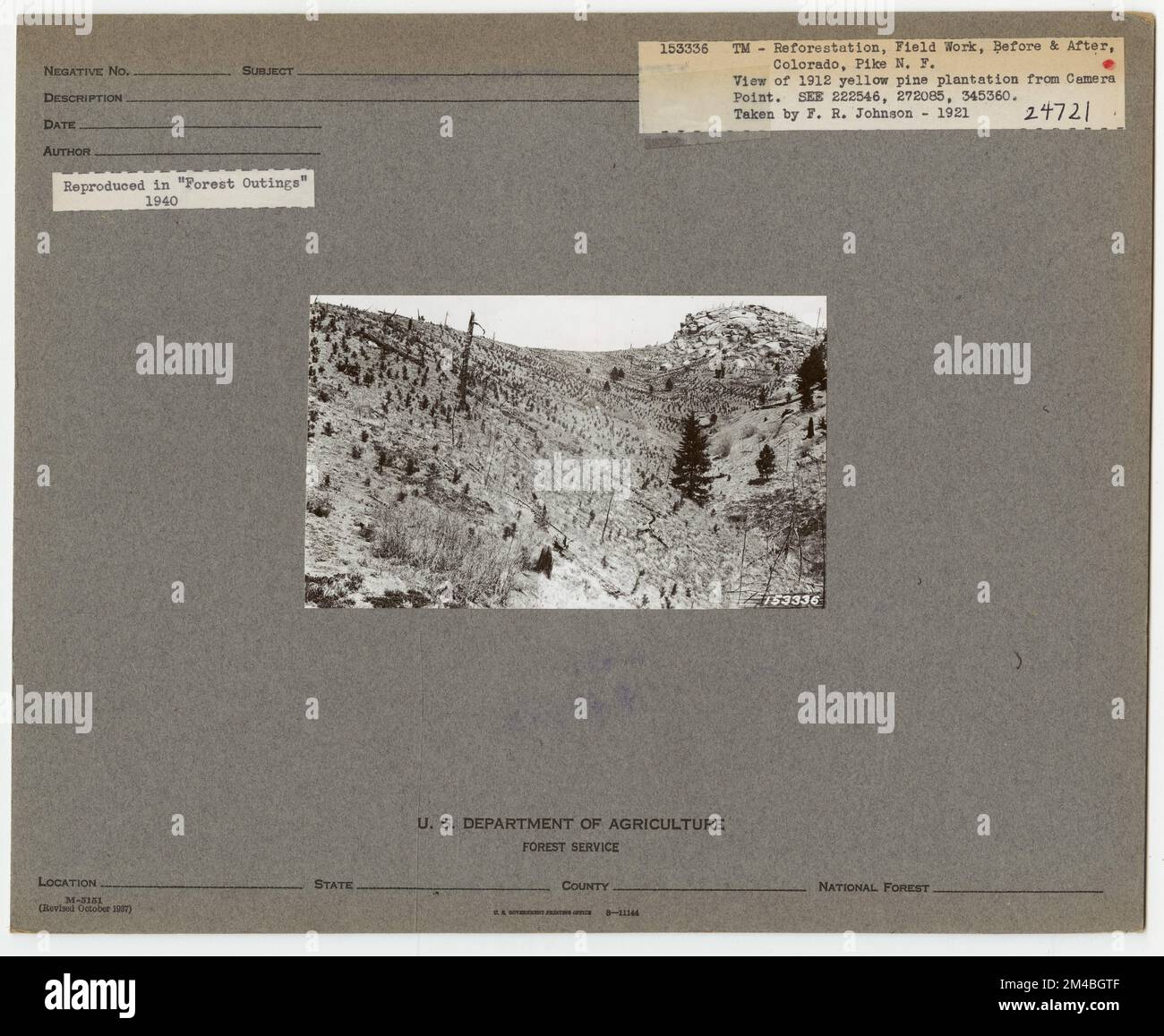 Reforestation: Camera Point - Colorado. Photographs Relating to ...
