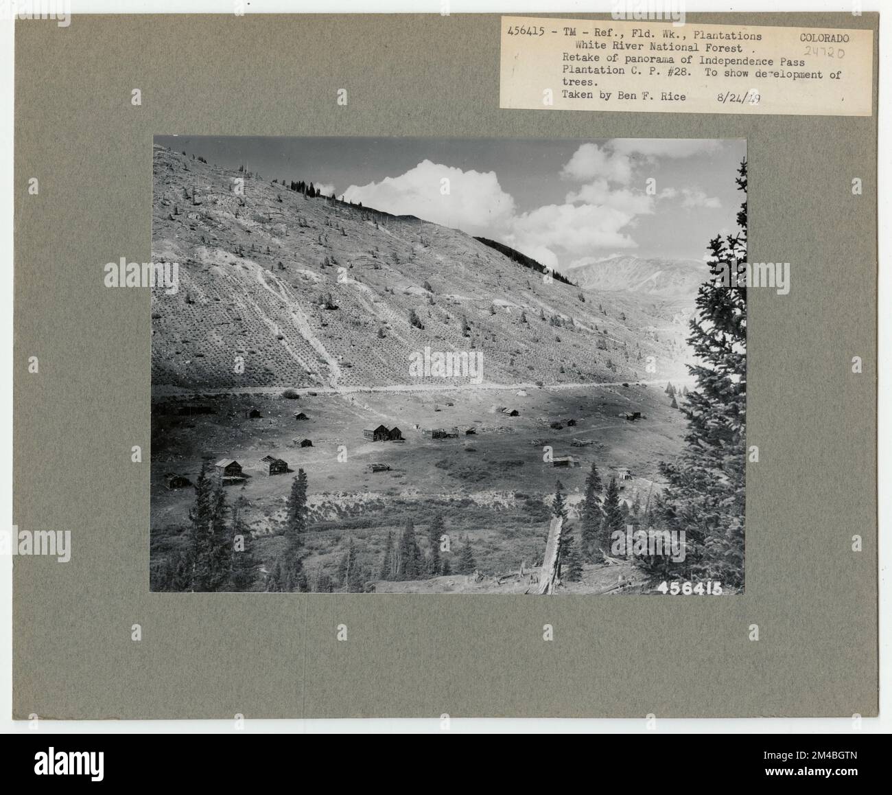 Reforestation: Plantations - Colorado. Photographs Relating to National ...