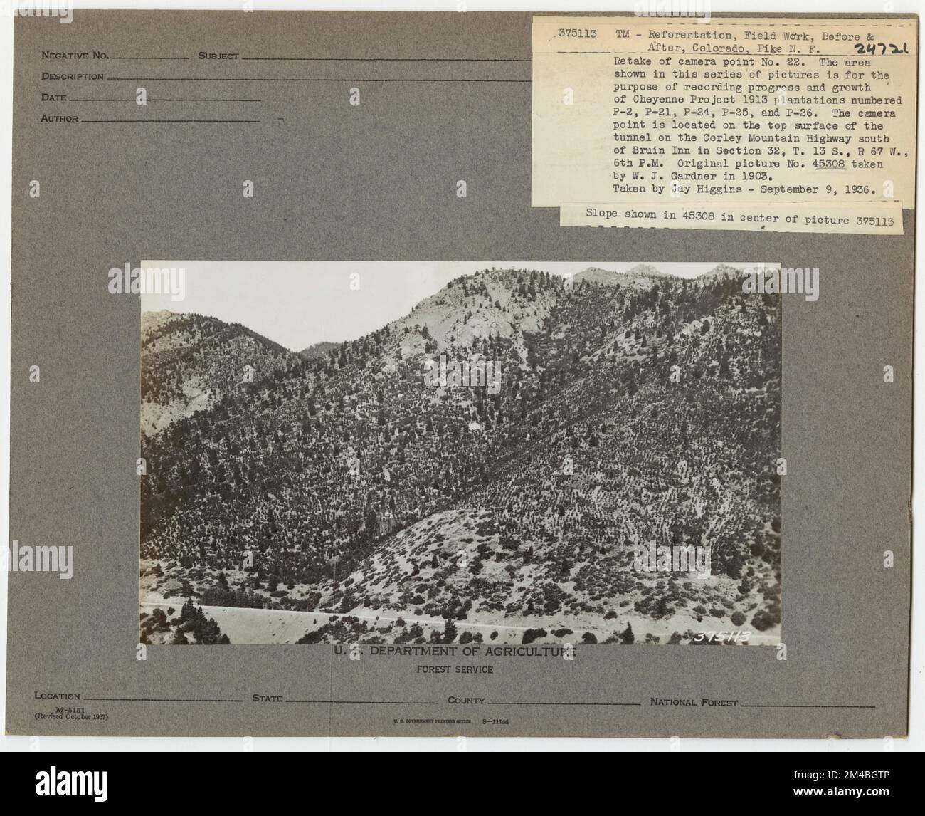 Reforestation: Camera Point - Colorado. Photographs Relating to ...