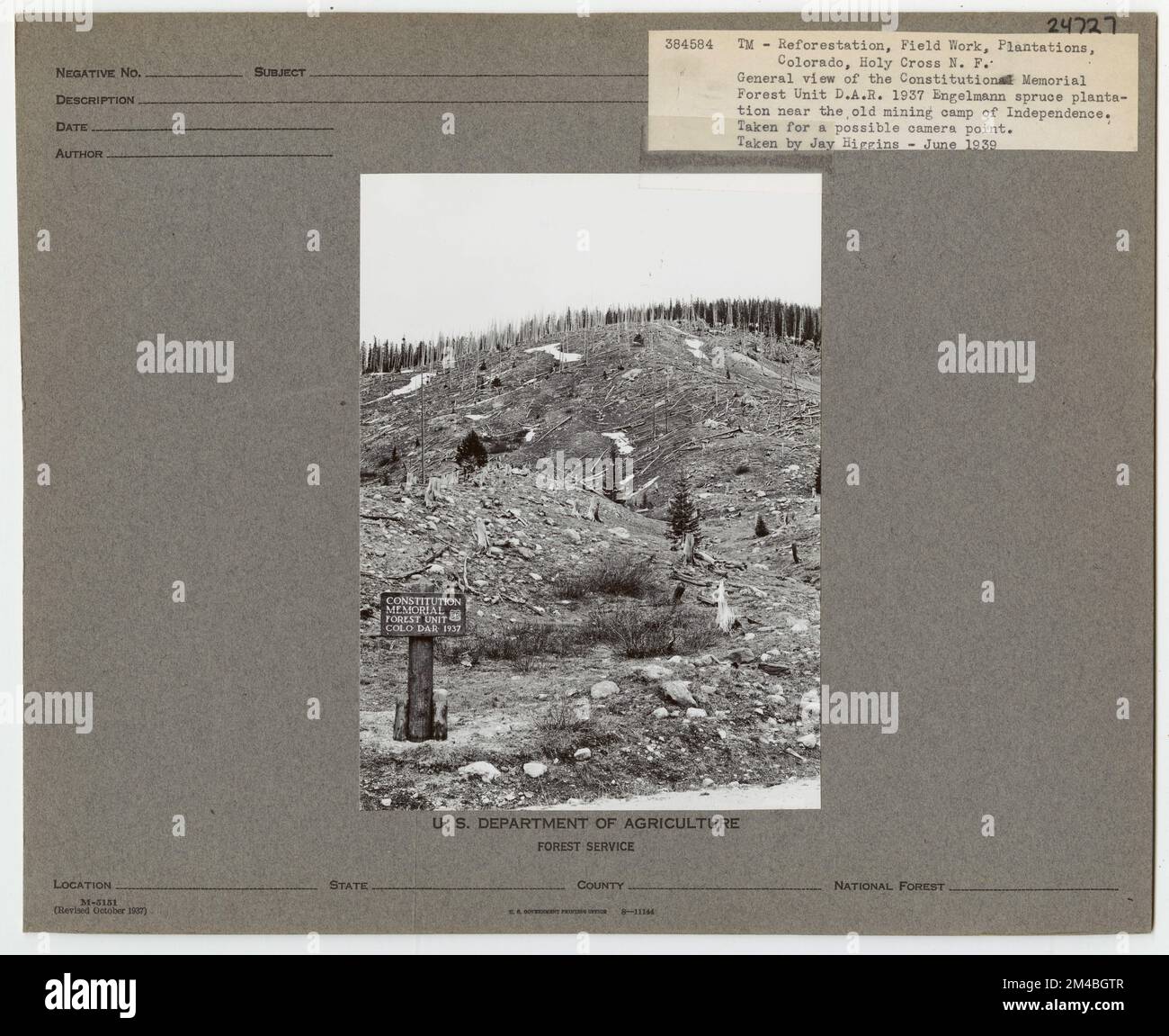 Reforestation: Plantations - Colorado. Photographs Relating to National ...