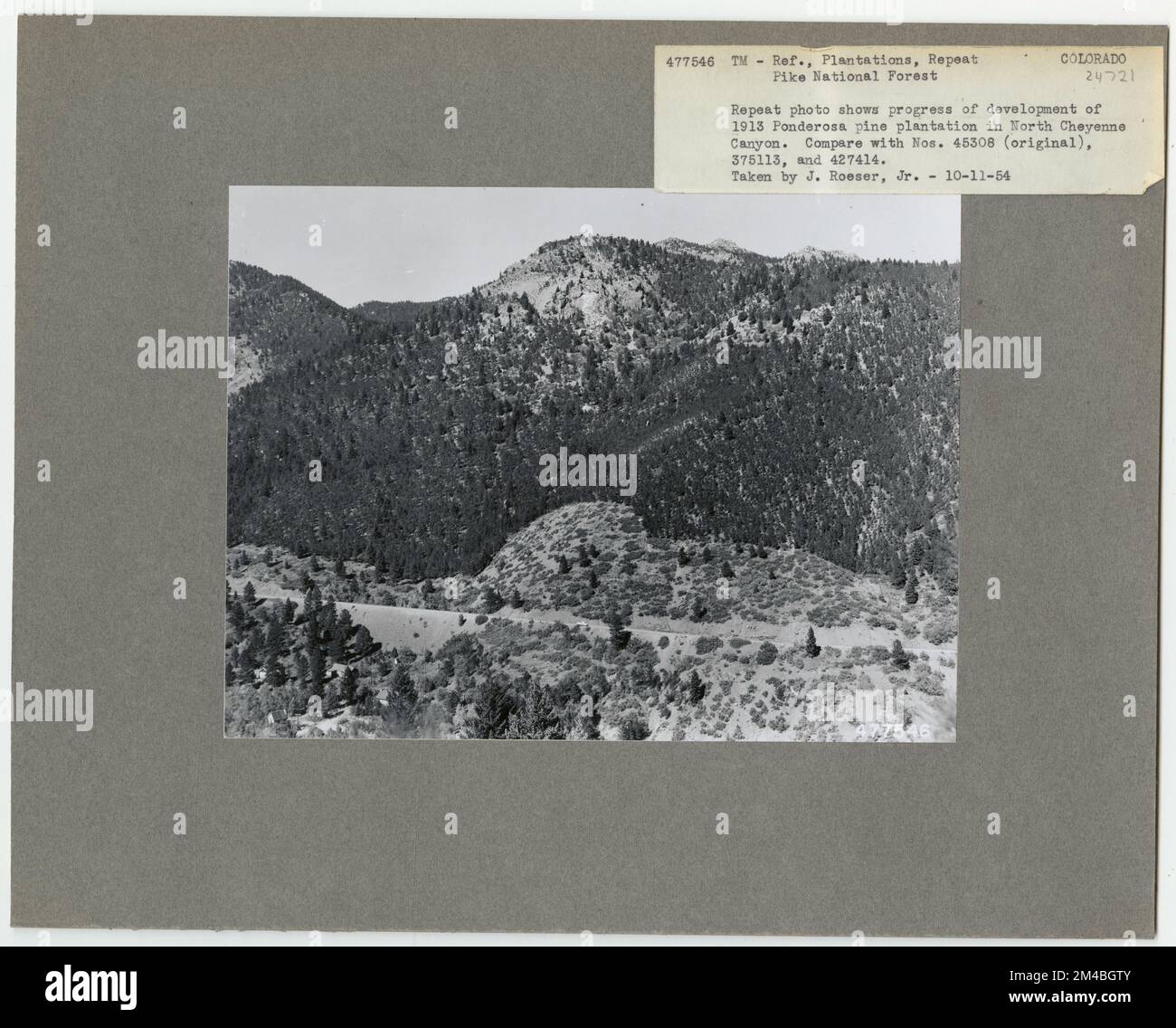 Reforestation: Camera Point - Colorado. Photographs Relating to ...