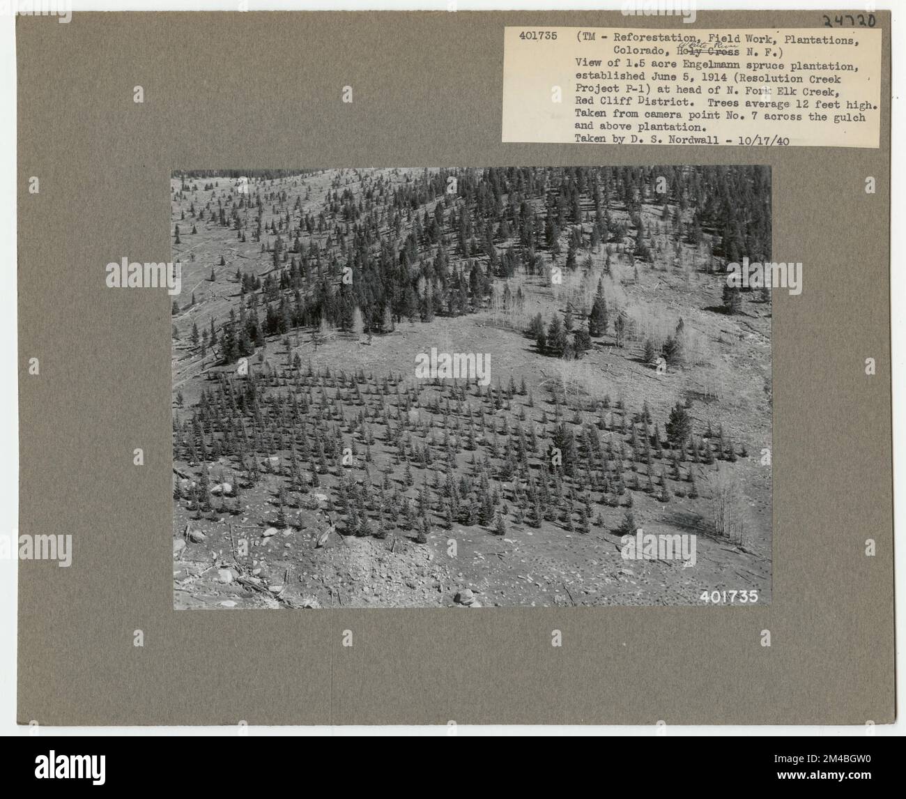Reforestation: Camera Point - Colorado. Photographs Relating to ...