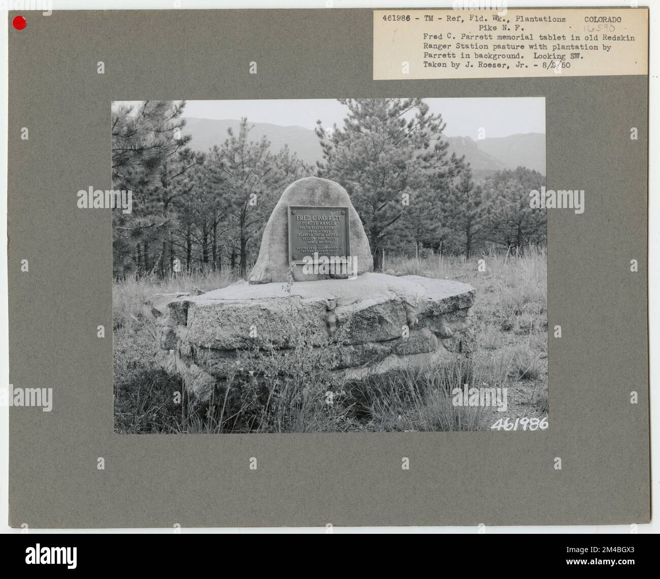 Reforestation: Plantations - Colorado. Photographs Relating to National ...