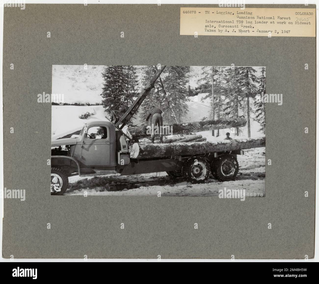 Logging: Loading Logs - Colorado. Photographs Relating to National ...