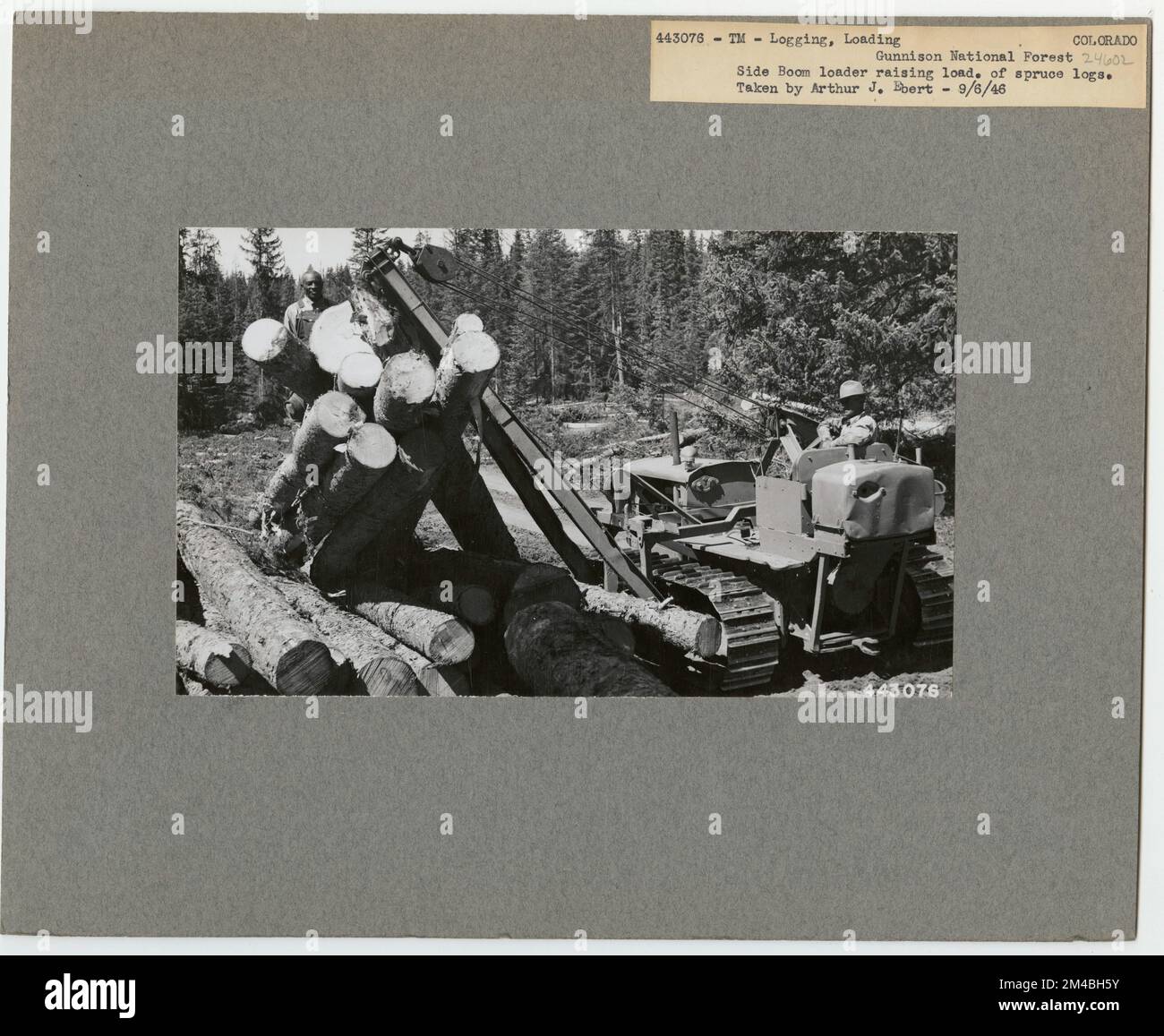 Logging: Loading Logs - Colorado. Photographs Relating to National ...