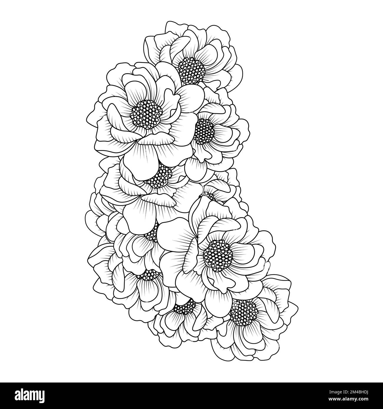 peony flower easy sketches pencil drawing of black and white line art ...