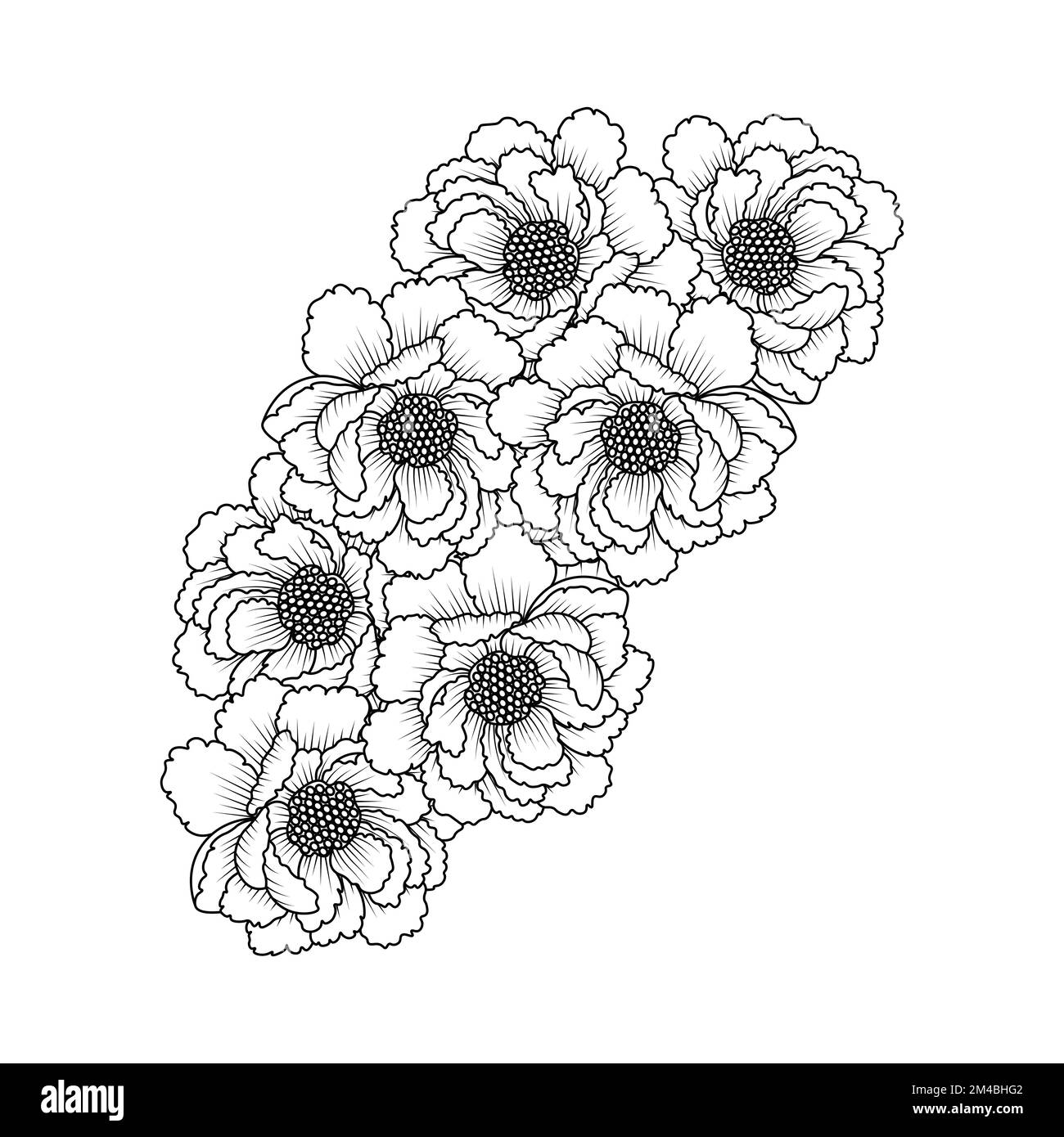 peony flower easy sketches pencil drawing of black and white line art ...