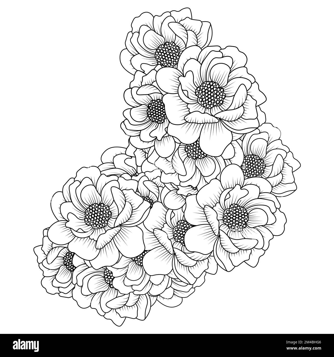 peony flower easy sketches pencil drawing of black and white line art ...