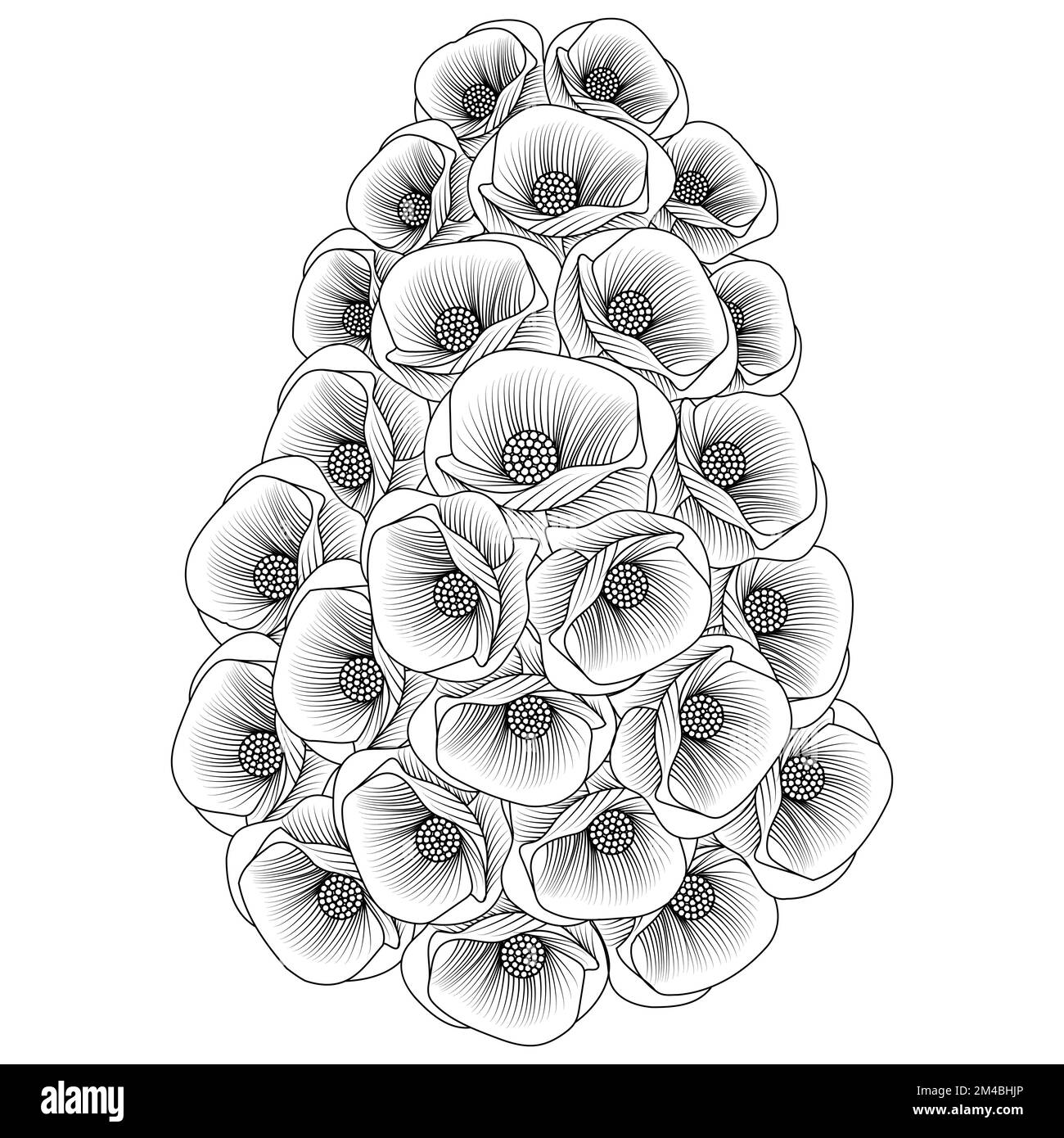 poppy flowers blossom coloring book page line art design of vector ...