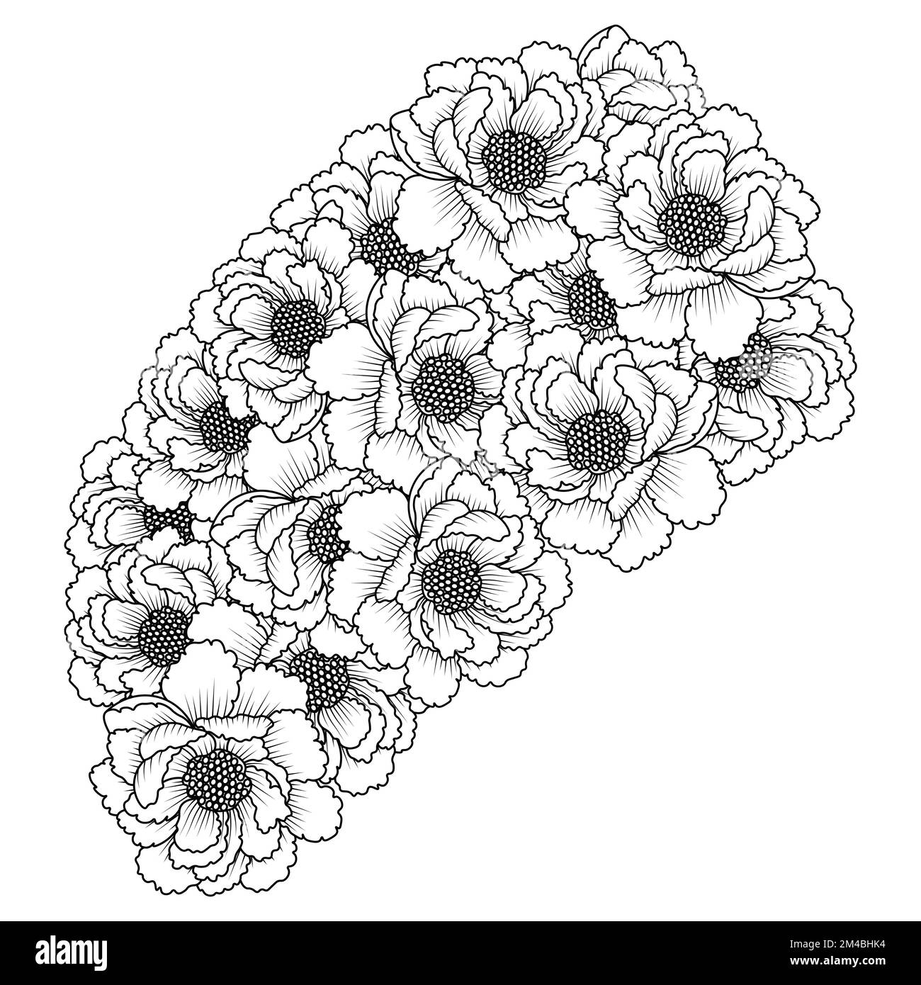 peony flower easy sketches pencil drawing of black and white line art ...