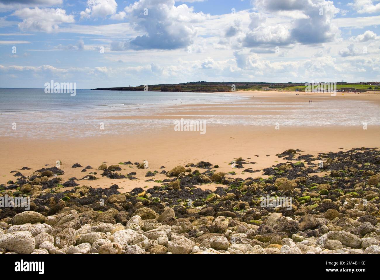 Tyne wear coastline hi-res stock photography and images - Alamy