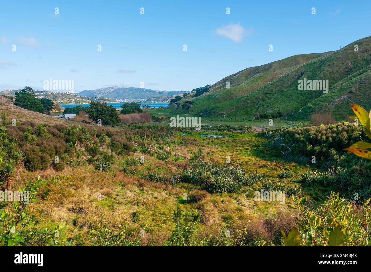 A beautiful view of a valley with a lake in the distance in New Zealand ...