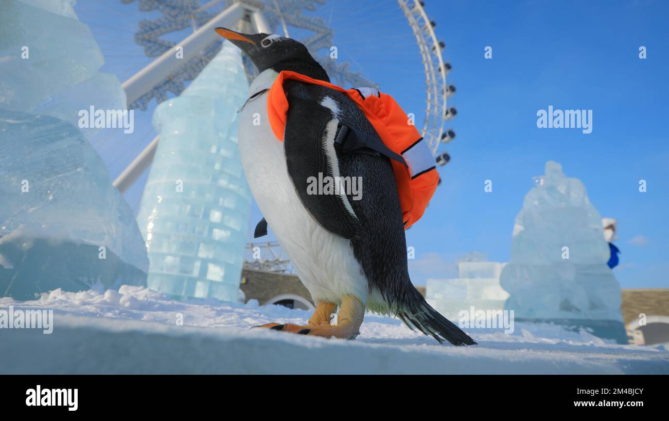 Penguins from Harbin Polarpark were seen at the Harbin Ice-Snow World ...