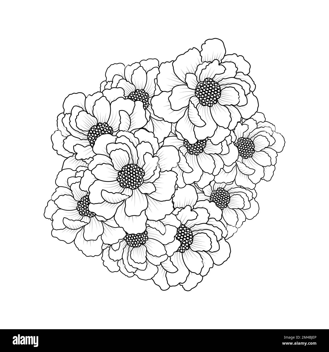 peony flower easy sketches pencil drawing of black and white line art ...