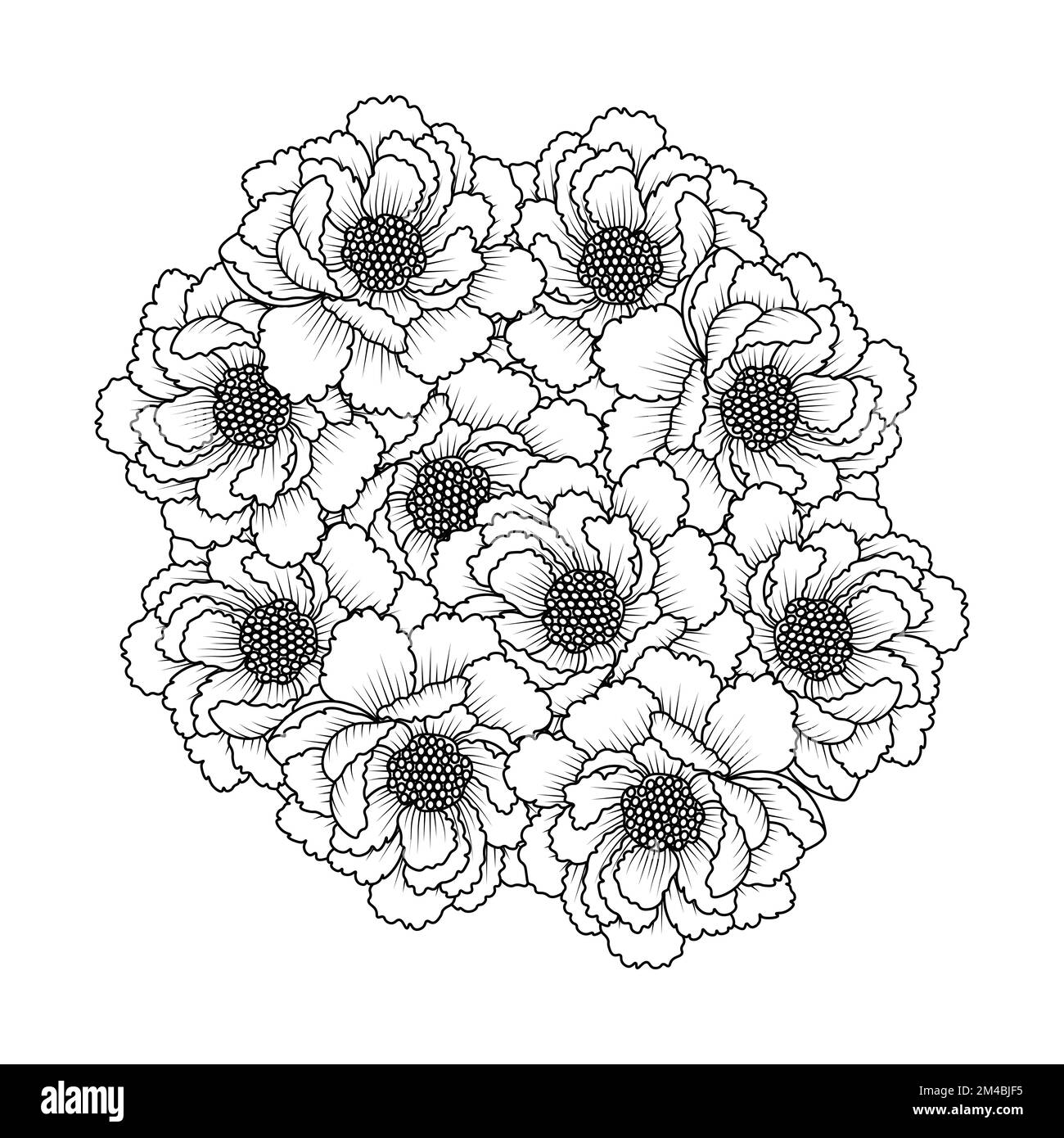 peony flower easy sketches pencil drawing of black and white line art ...