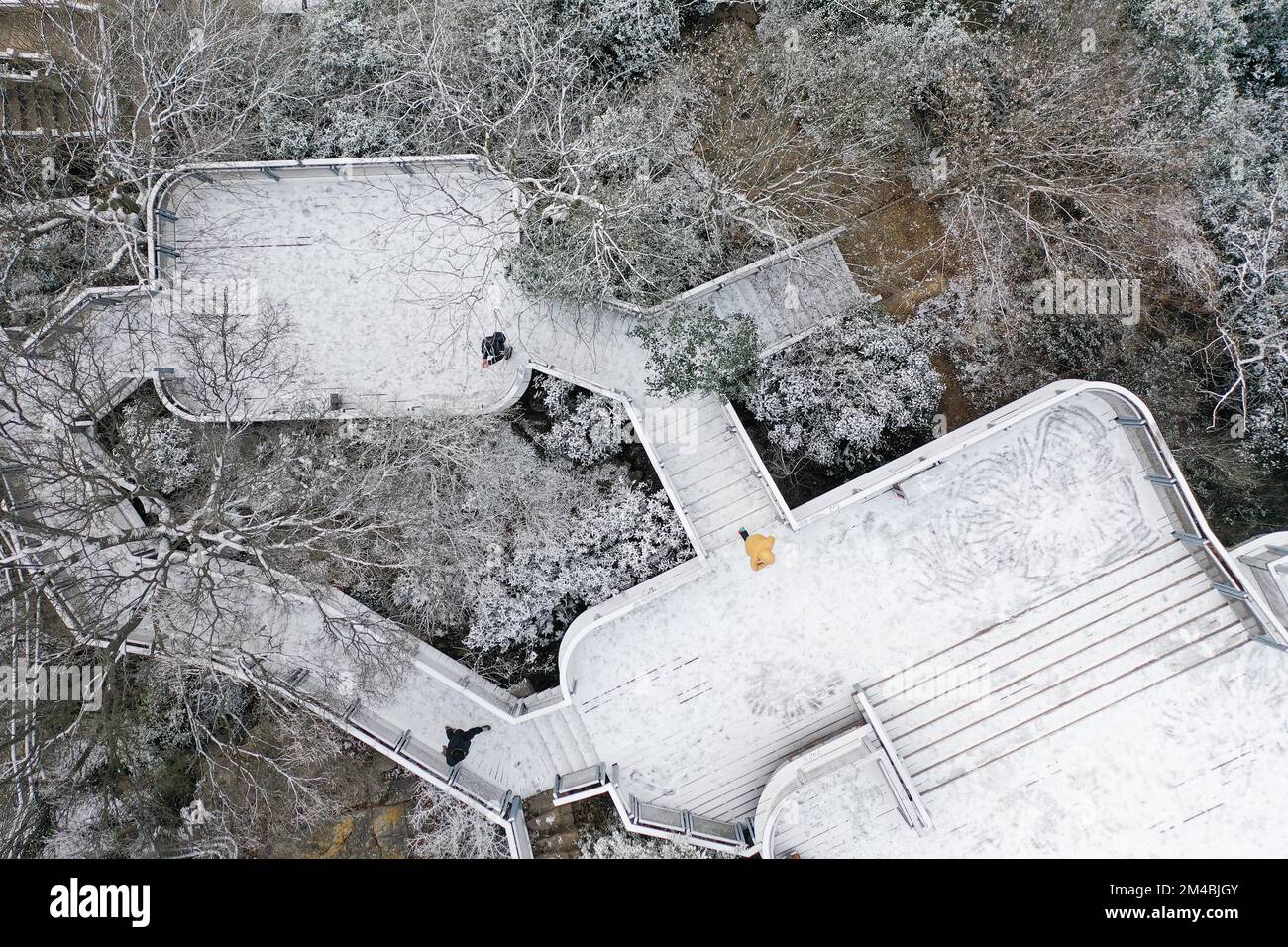 Aerial photo shows the snow scenery of Zijin Mountain in Nanjing City ...