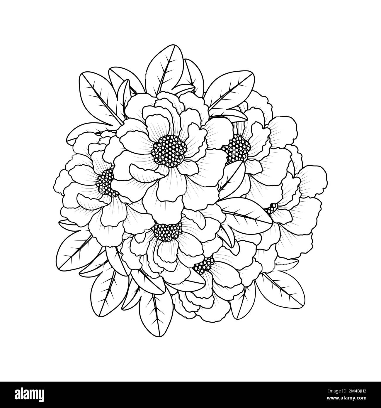 peony flower easy sketches pencil drawing of black and white line art ...