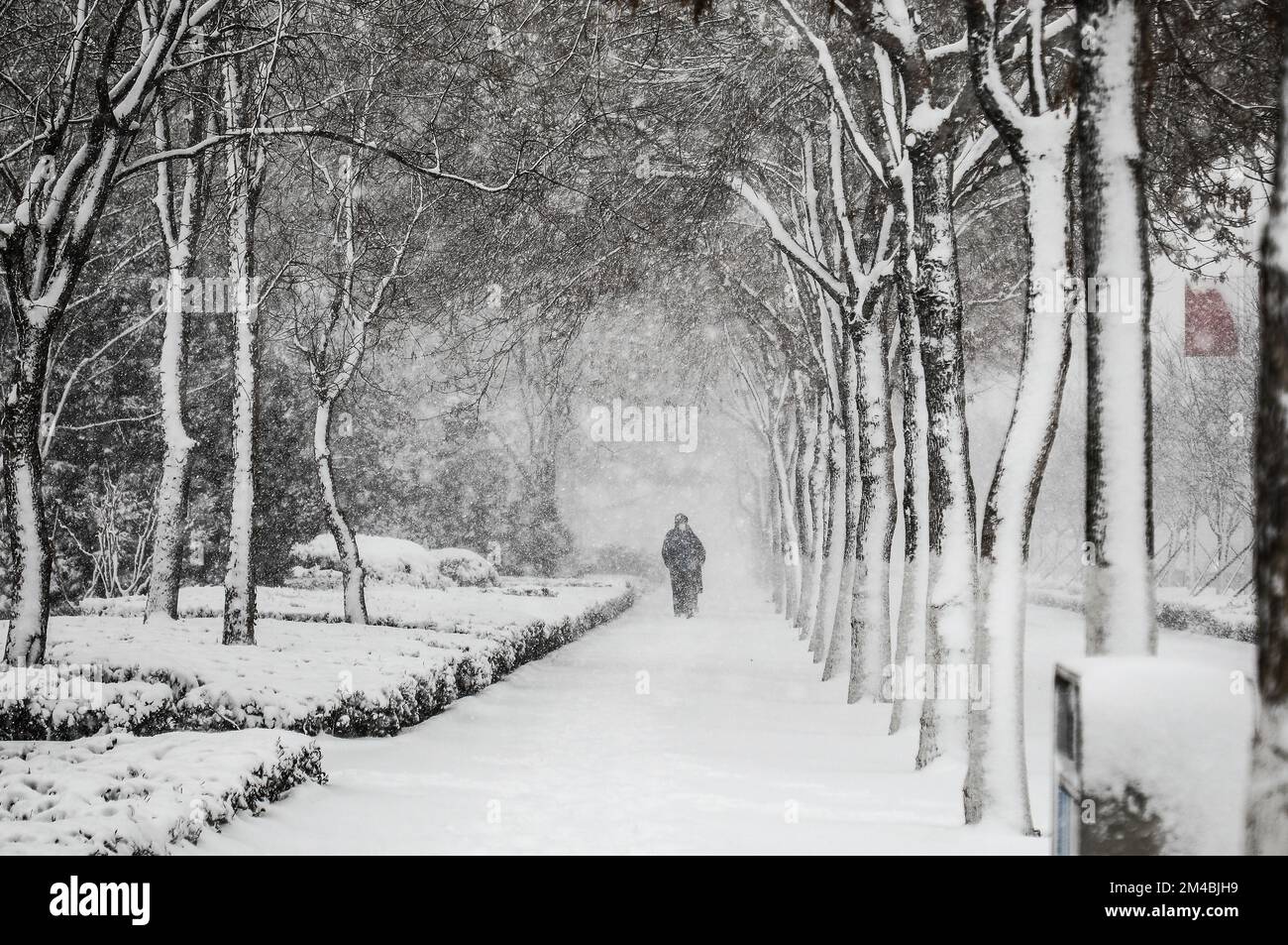 Heavy snow fell in Weihai City, east China's Shandong Province, 17 ...