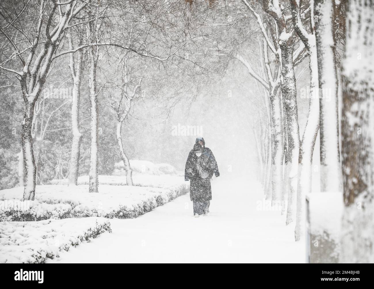 Heavy snow fell in Weihai City, east China's Shandong Province, 17 ...