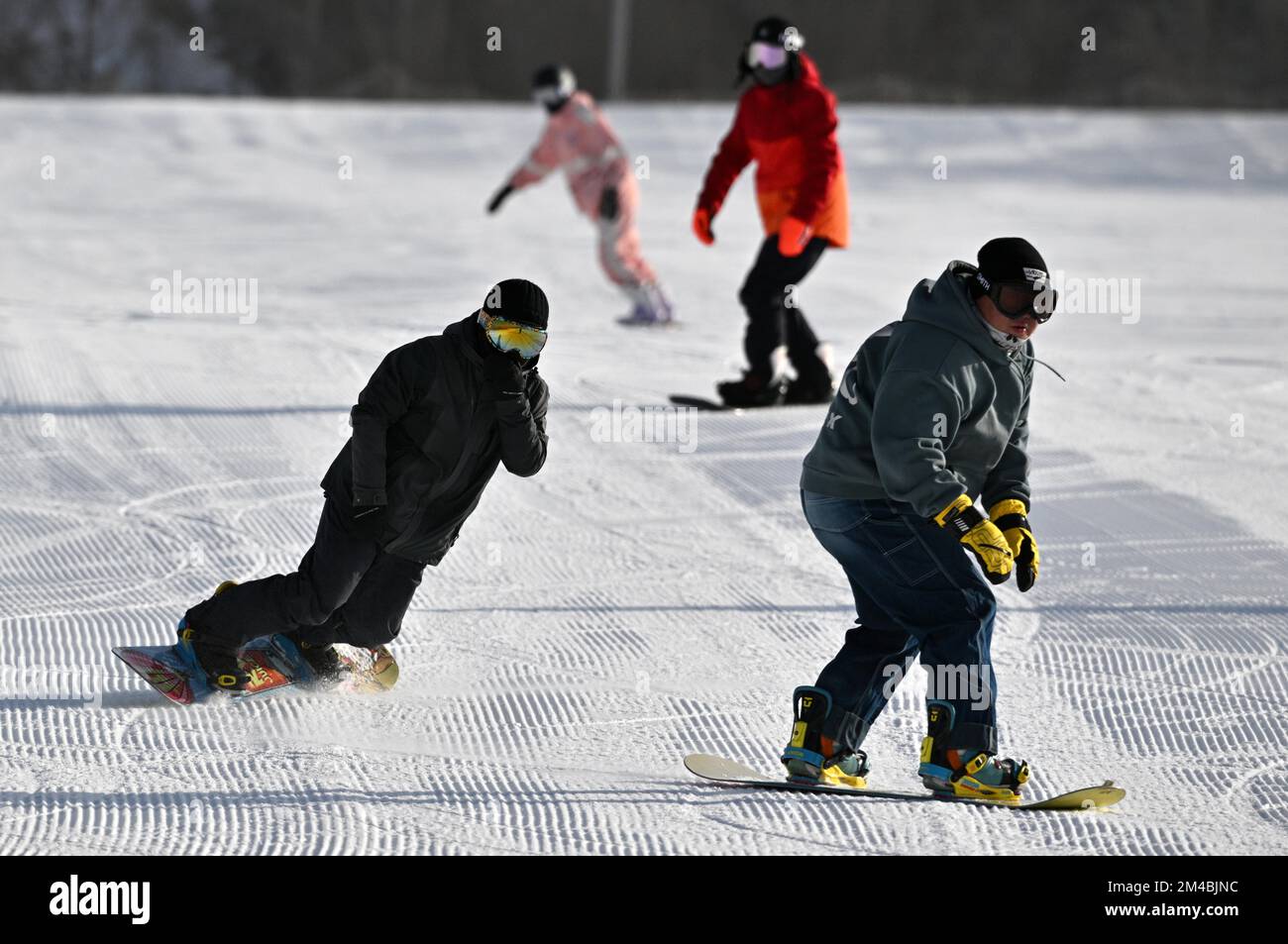 Tourists enjoyed winter sports at the Longzhishan Donggui Ski Resort in ...