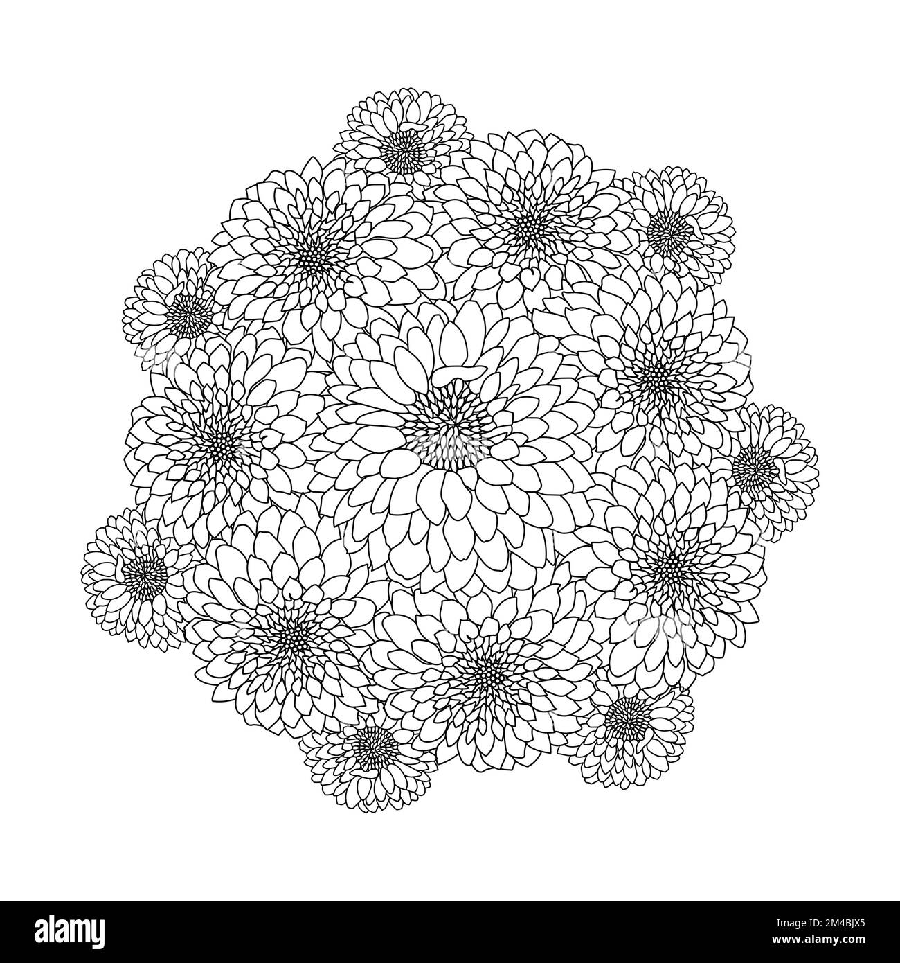 beautiful flowers coloring page with pencil sketch drawing detailed in ...