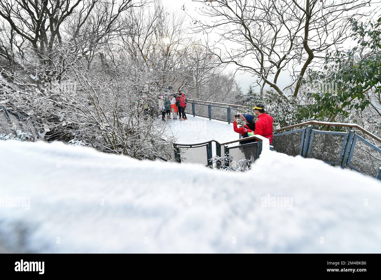 Aerial photo shows the snow scenery of Zijin Mountain in Nanjing City ...