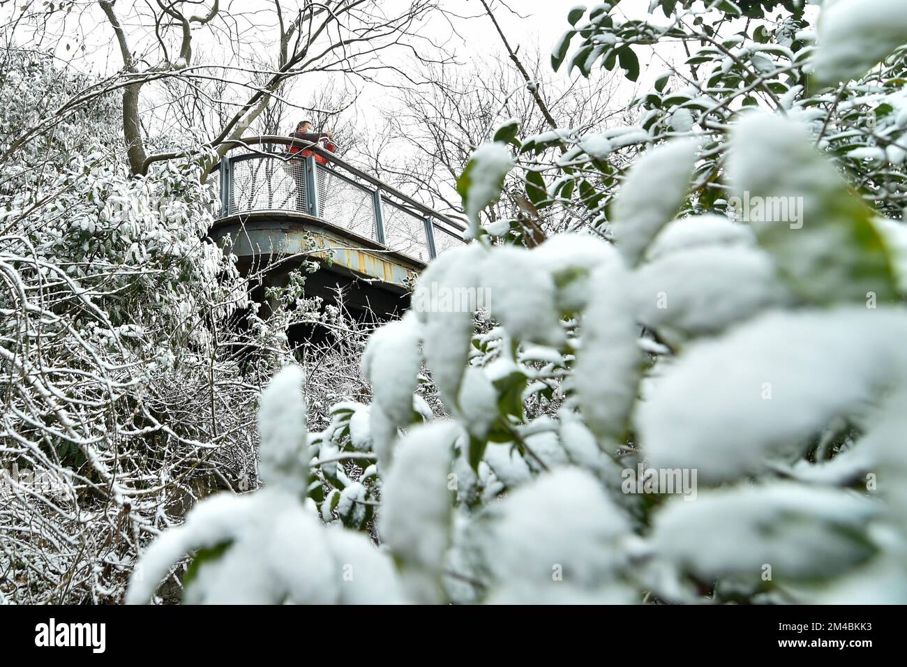Aerial photo shows the snow scenery of Zijin Mountain in Nanjing City ...
