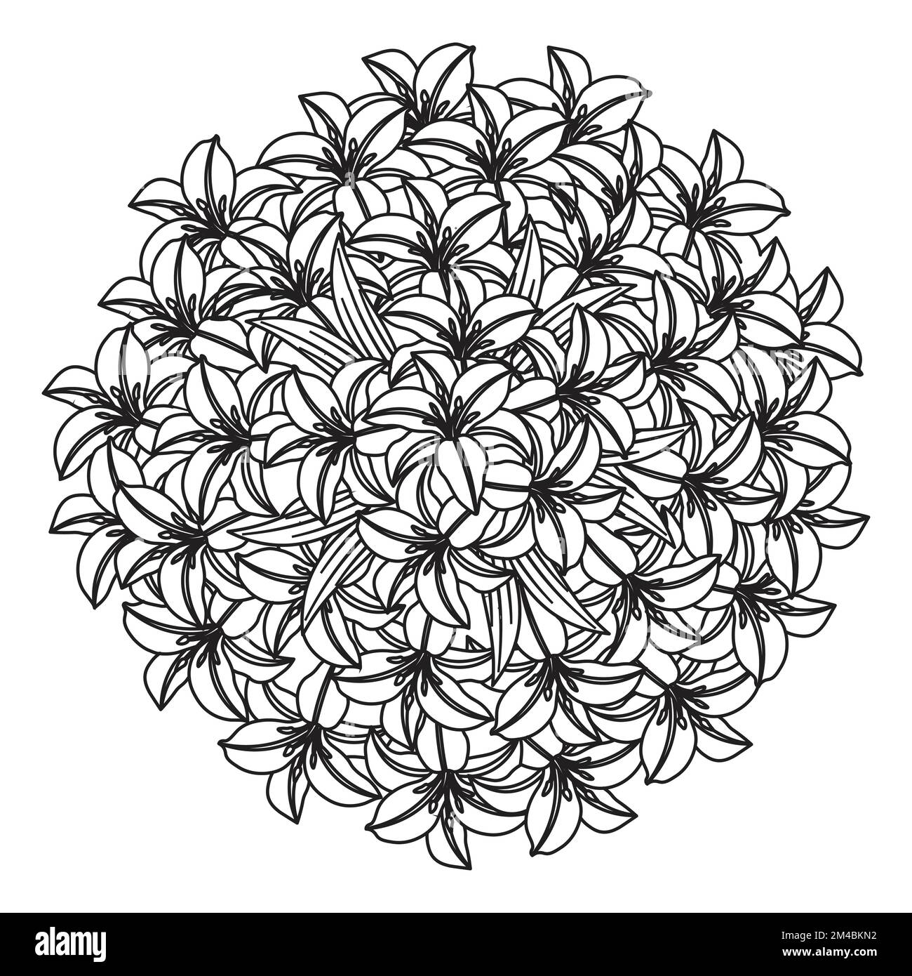 lily flower and lilium flower coloring page outline decorative line art ...