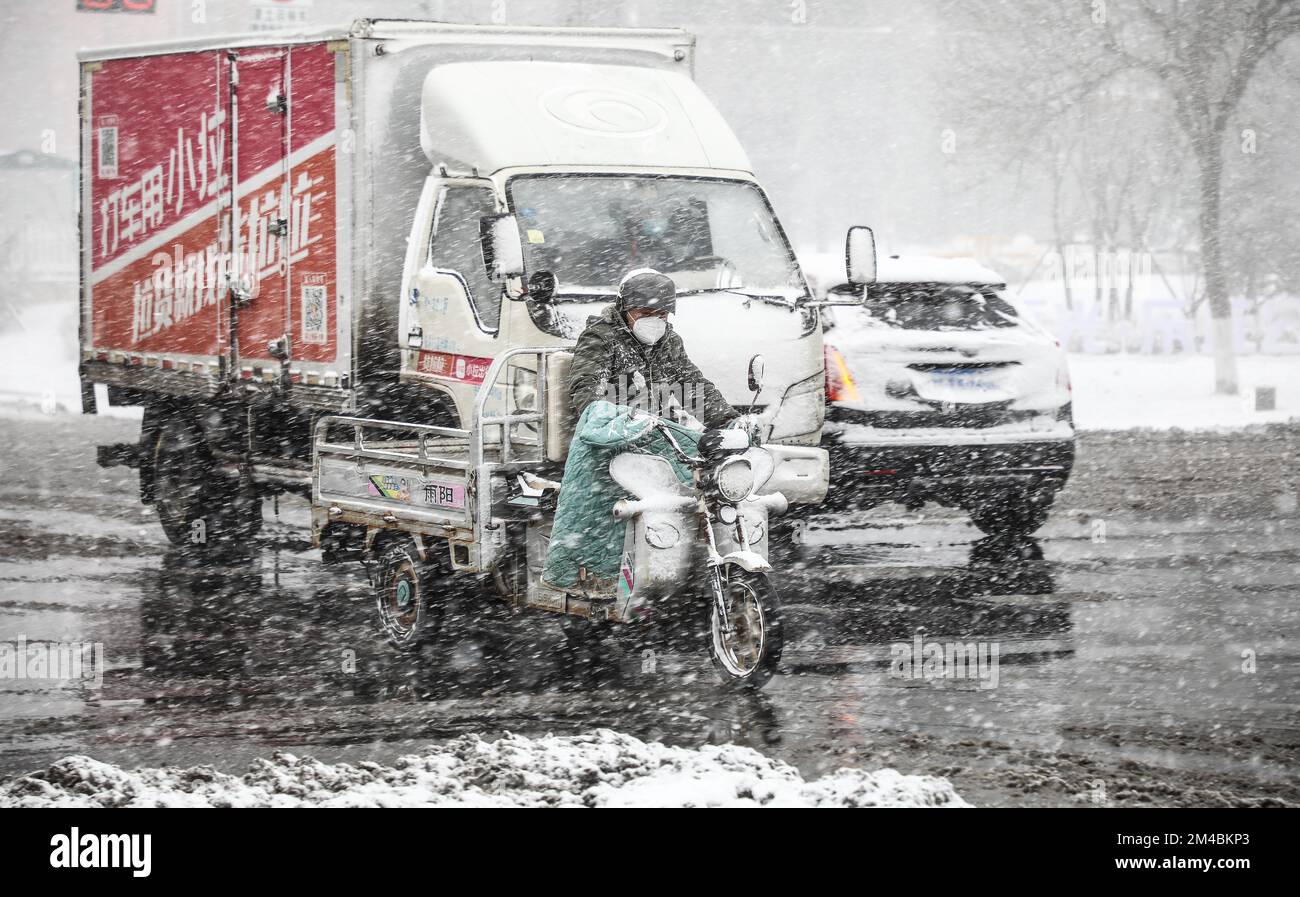 Heavy snow fell in Weihai City, east China's Shandong Province, 17 ...
