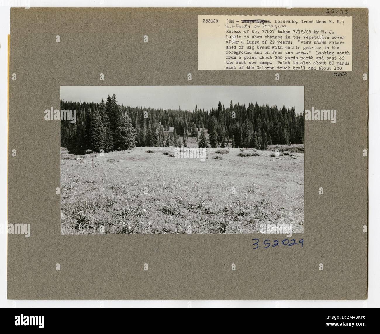 Effects of Grazing - Colorado. Photographs Relating to National Forests ...
