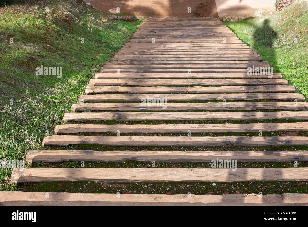 árbol de vigas hi-res stock photography and images - Alamy