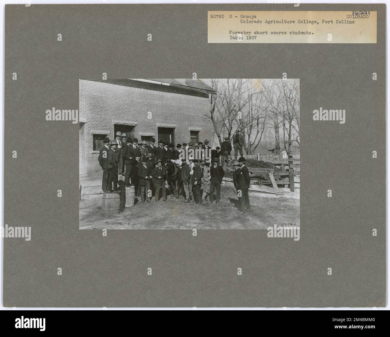 Groups, By State - Colorado. Photographs Relating to National Forests ...