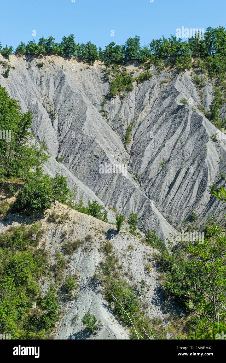 Nivione hi-res stock photography and images - Alamy