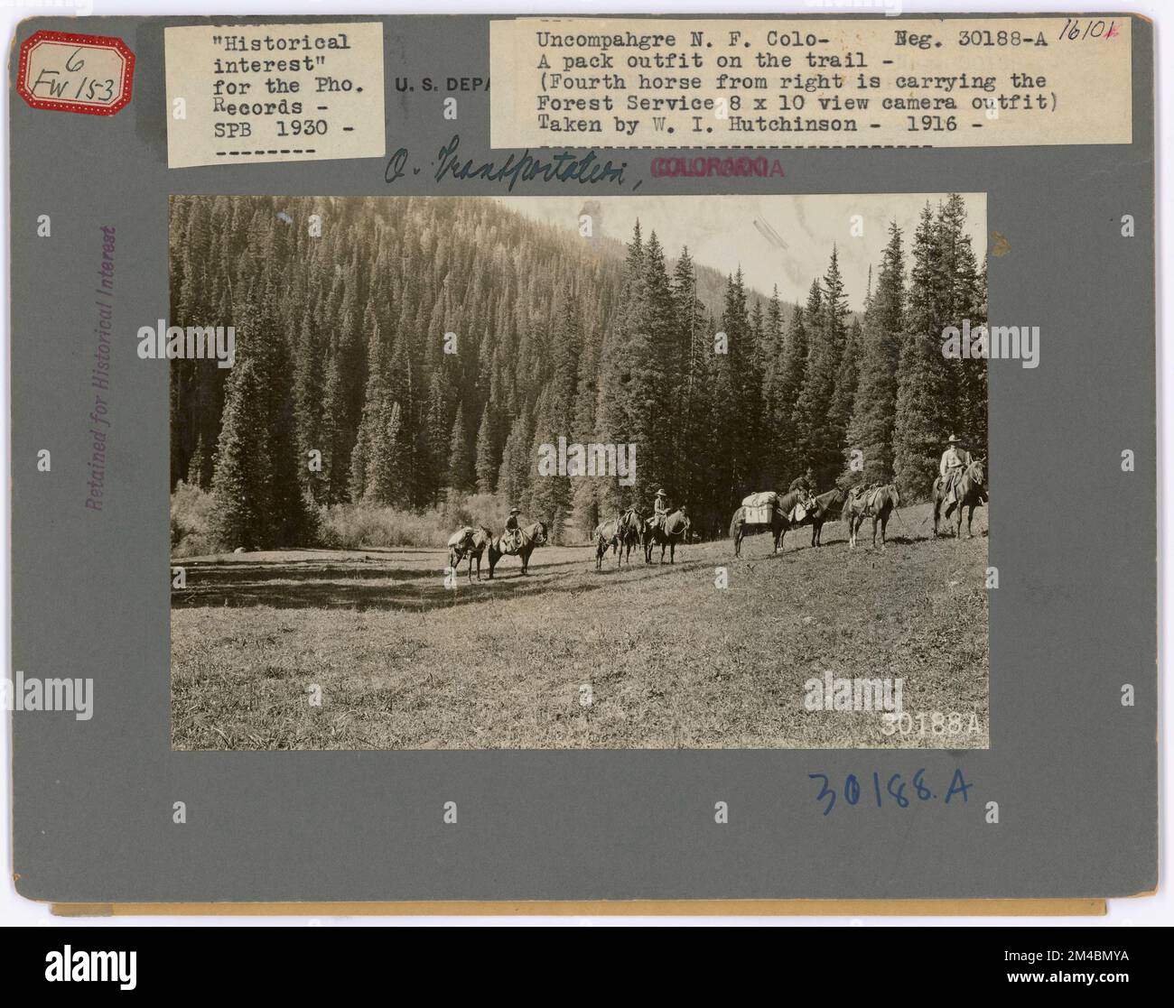 Foresters at Work - Colorado. Photographs Relating to National Forests ...