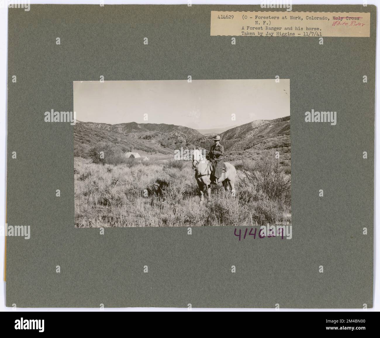 Foresters at Work - Colorado. Photographs Relating to National Forests ...