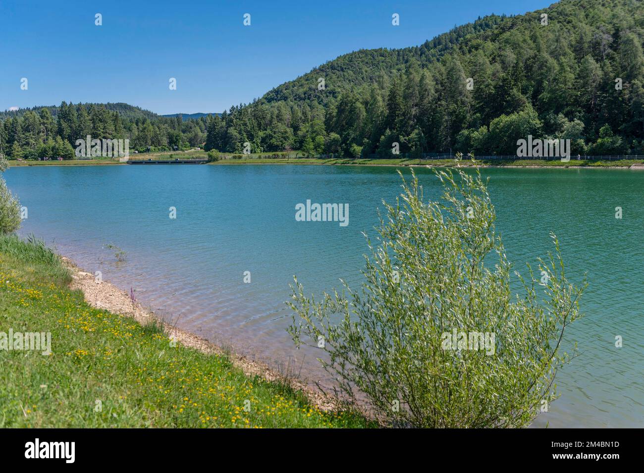 Tavon lake hi-res stock photography and images - Alamy